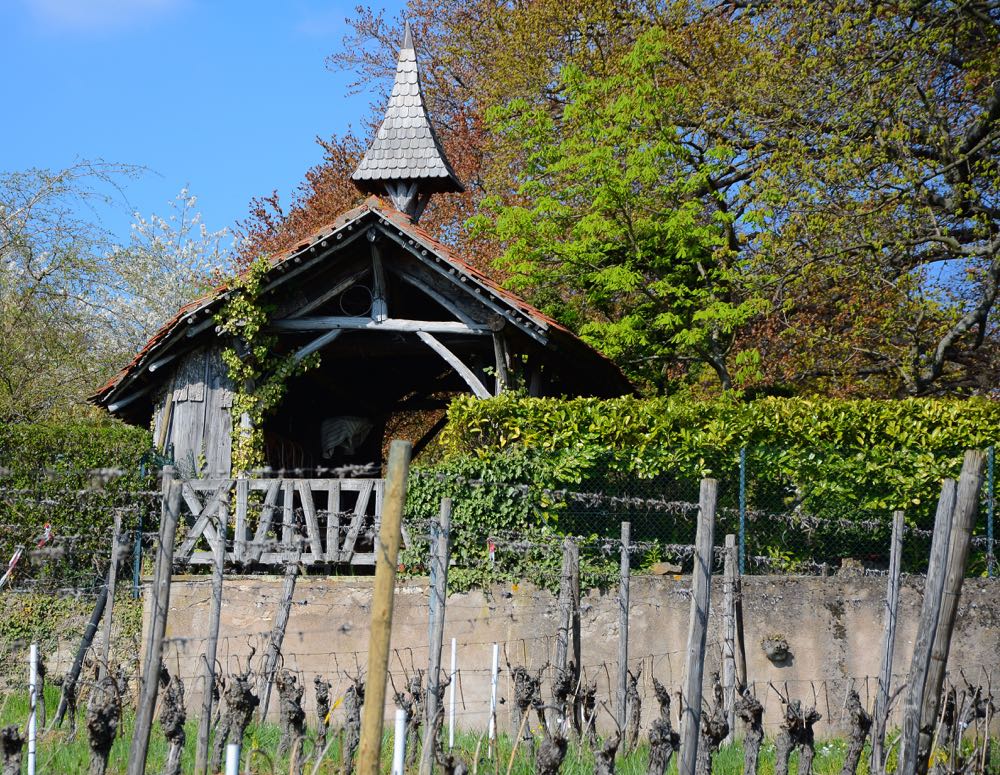 Mittelbergheim Plus Beau Village de France - Une Fille En Alsace
