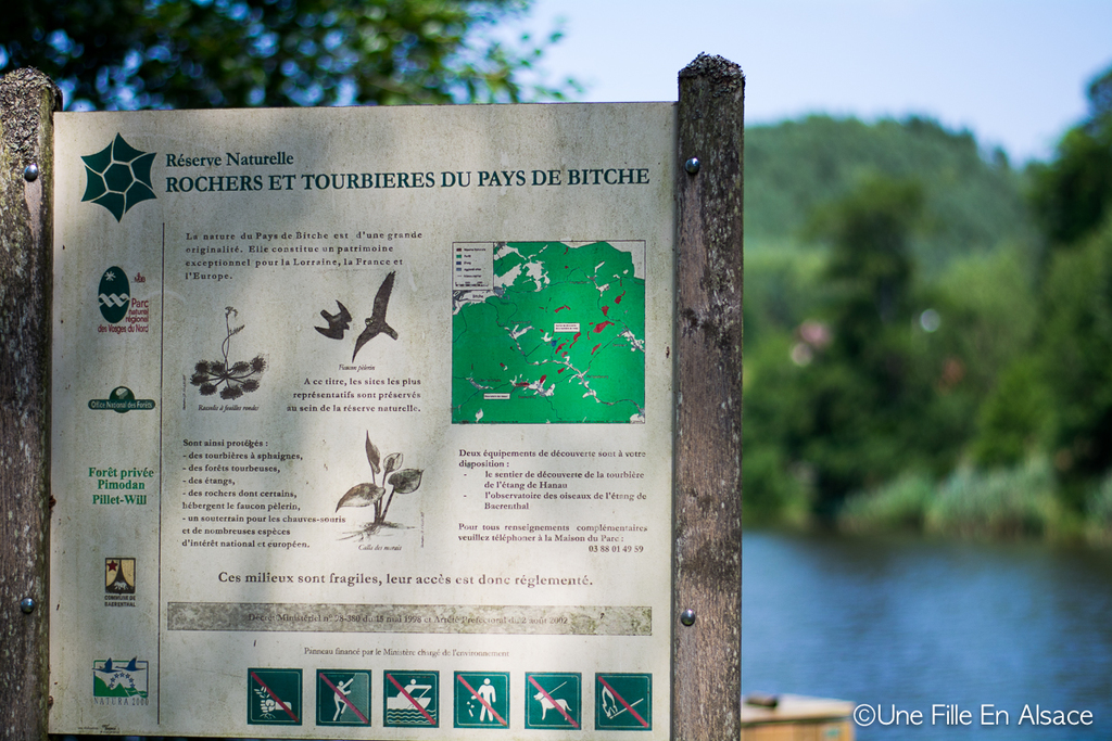 Randonnée au Pays de Bitche Lorraine - Une Fille En Alsace