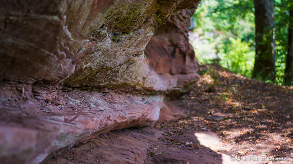 Randonnée au Pays de Bitche Lorraine - Une Fille En Alsace