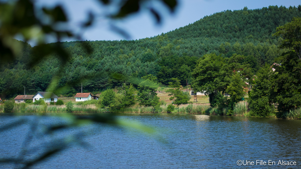 Randonnée au Pays de Bitche Lorraine - Une Fille En Alsace