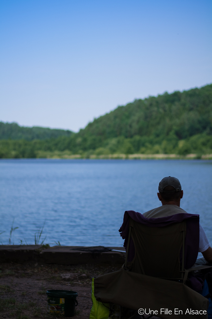 Randonnée au Pays de Bitche Lorraine - Une Fille En Alsace