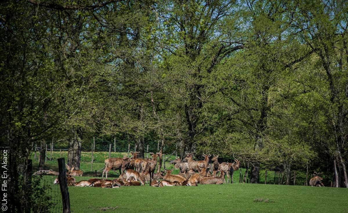 Le Parc de Sainte-Croix à Rhodes - Une Fille En Alsace