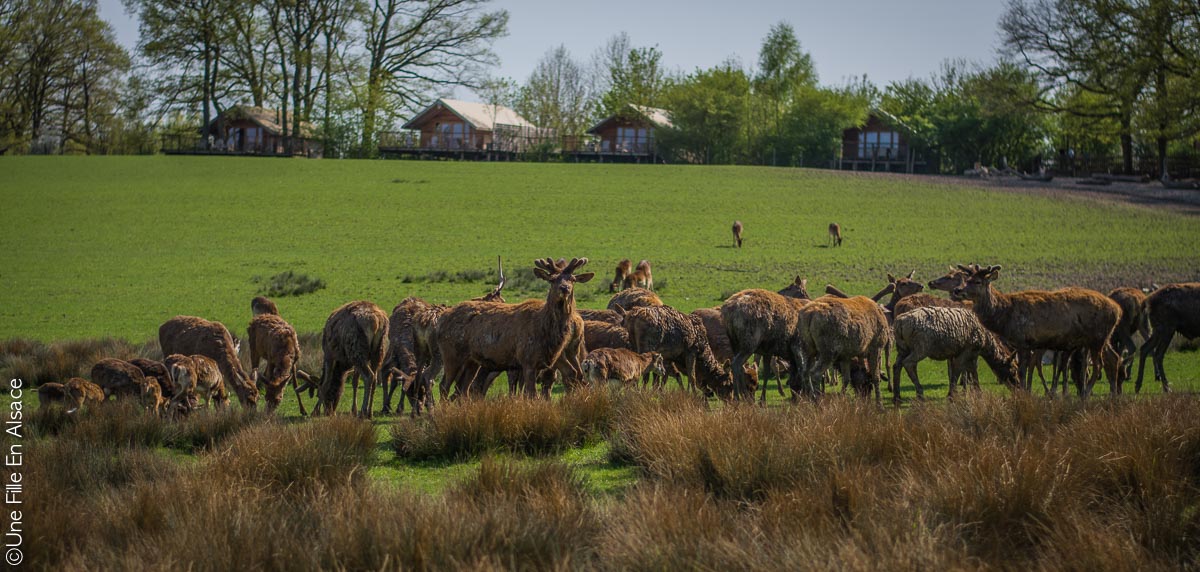 Le Parc de Sainte-Croix à Rhodes - Une Fille En Alsace