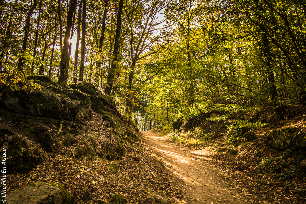 Randonnée vers les Châteaux Spesbourg et Haut-Andlau - Une Fille En Alsace
