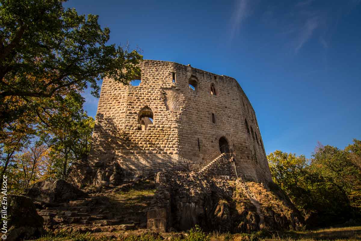 Randonnée vers les Châteaux Spesbourg et Haut-Andlau - Une Fille En Alsace