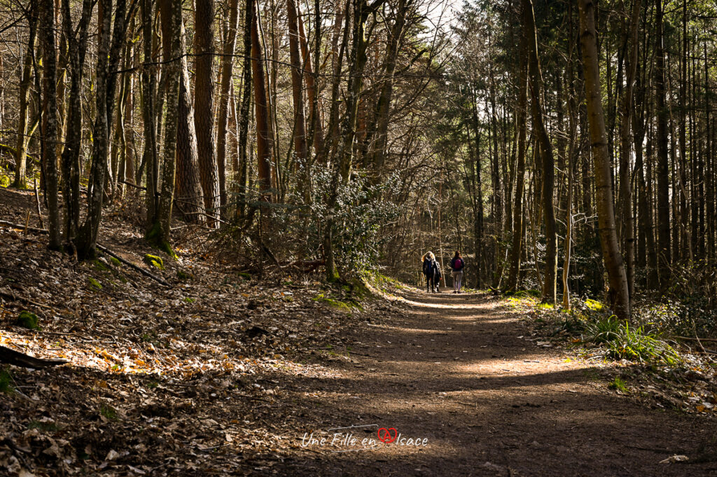Randonnée aux Châteaux Spesbourg et Haut-Andlau Une Fille En Alsace