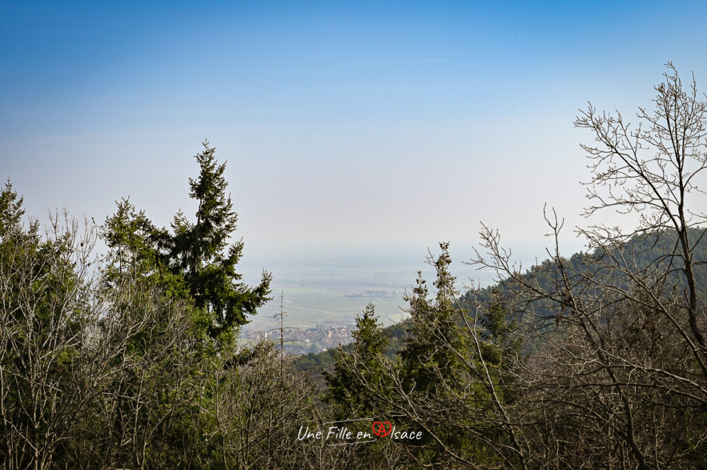 Randonnée aux Châteaux Spesbourg et Haut-Andlau Une Fille En Alsace
